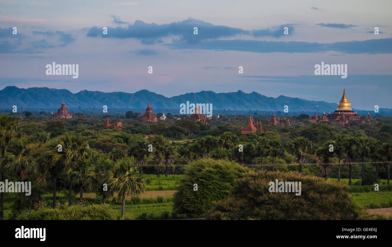 The golden stupa of Bagan, Myanmar Stock Photo - Alamy