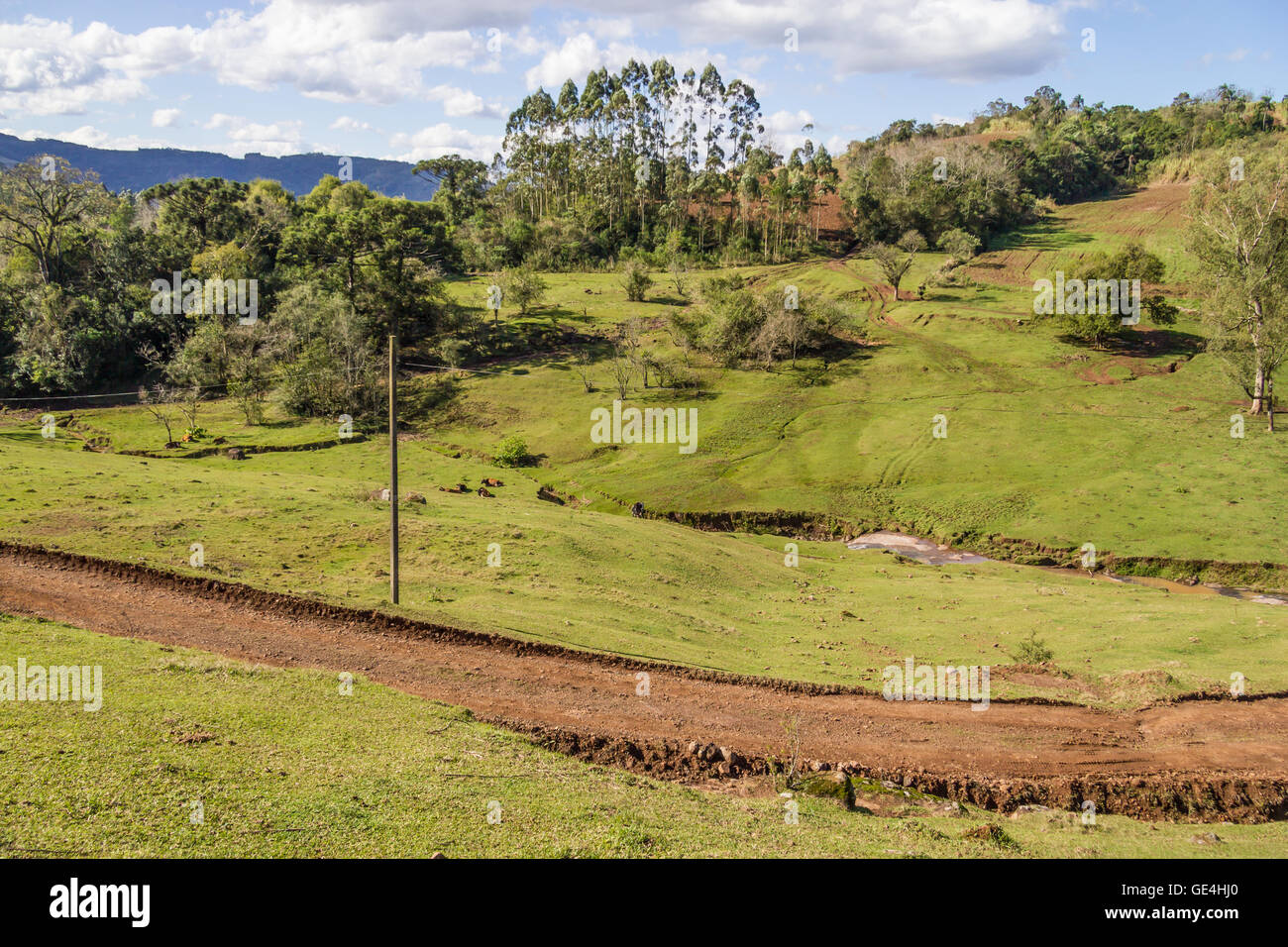 Farm with fields and forest Stock Photo - Alamy
