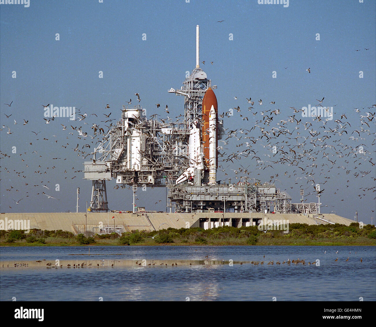A flock of birds takes flight as the Space Shuttle Atlantis arrives at ...