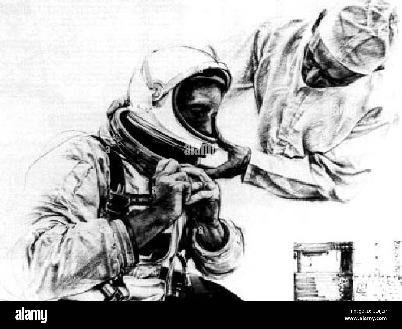 Wildlife role Black and White Stock Photos & Images - Alamy