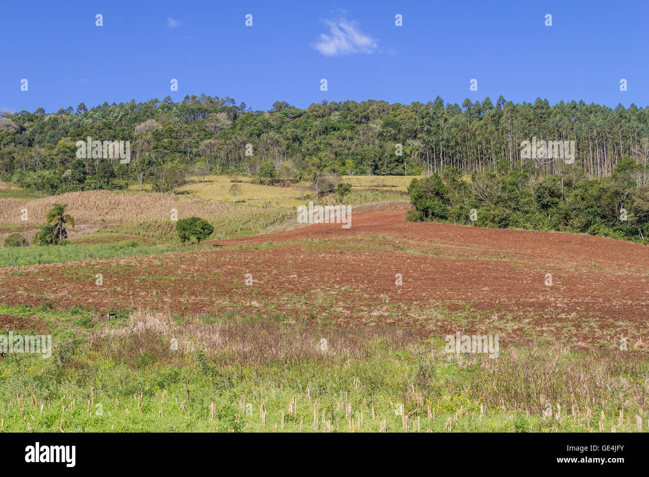 Farm field being prepared to plantation Stock Photo - Alamy