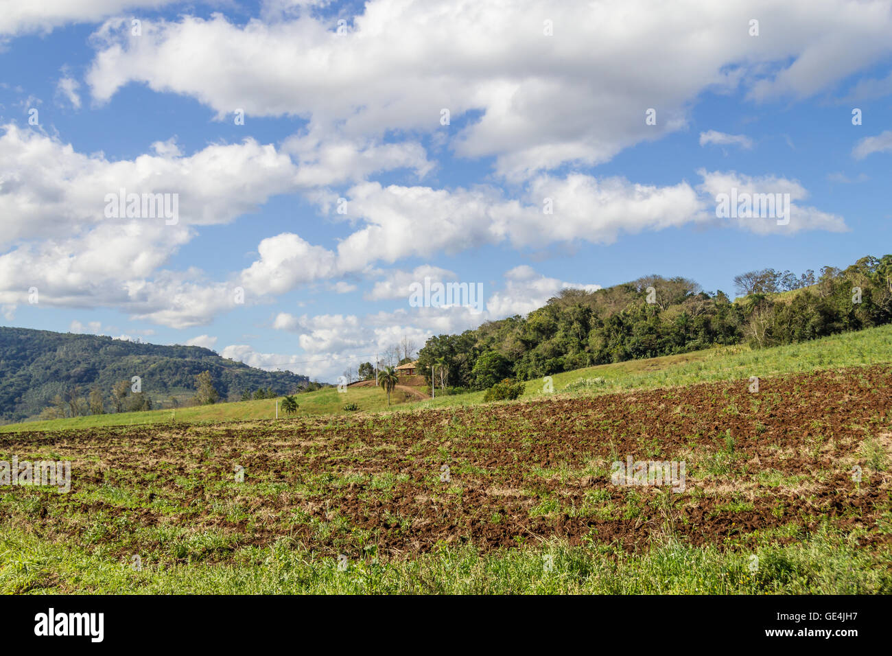 Farm, forest and mountains Stock Photo - Alamy