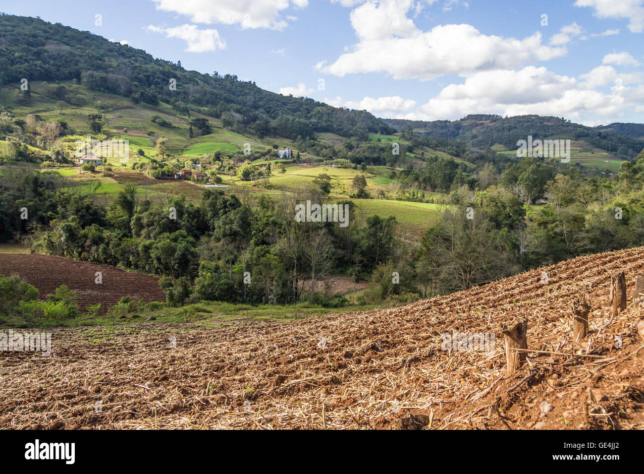Farm field being prepared to plantation Stock Photo - Alamy