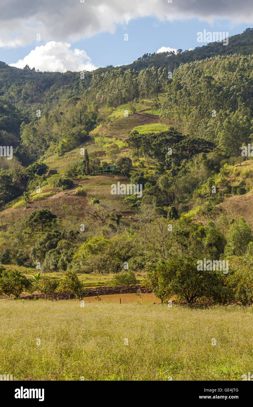 Farm, forest and mountains Stock Photo - Alamy