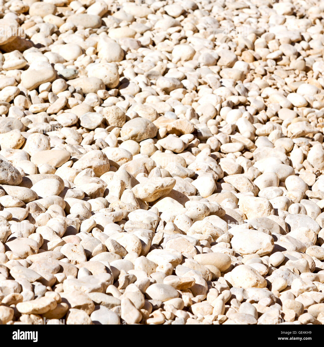 in the white and gray oman dry bush rock alone Stock Photo - Alamy