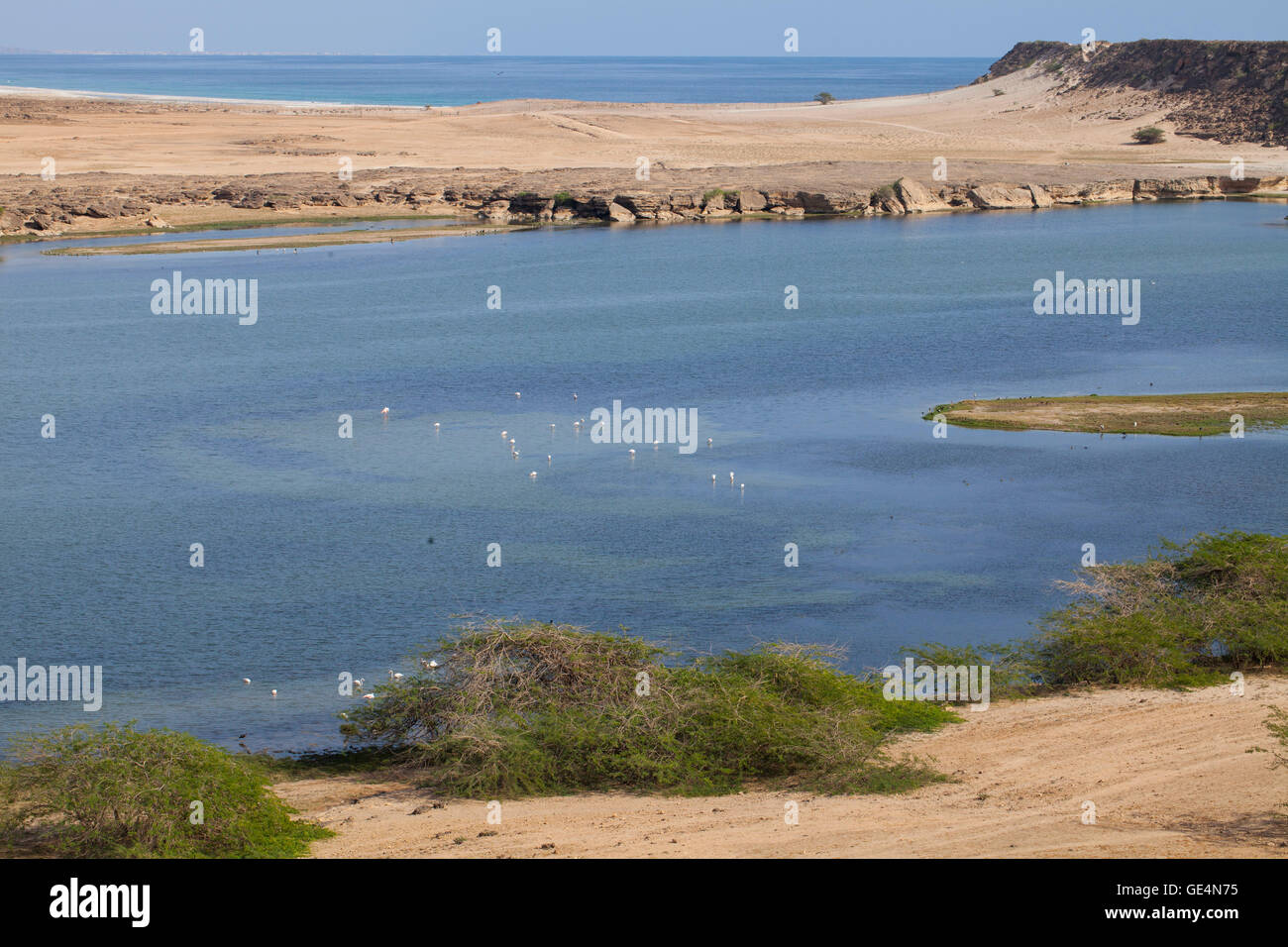 Mirbat oman hi-res stock photography and images - Alamy