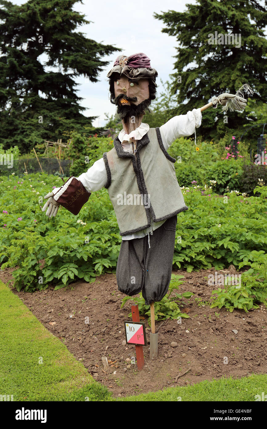 Scarecrow garden hi-res stock photography and images - Alamy