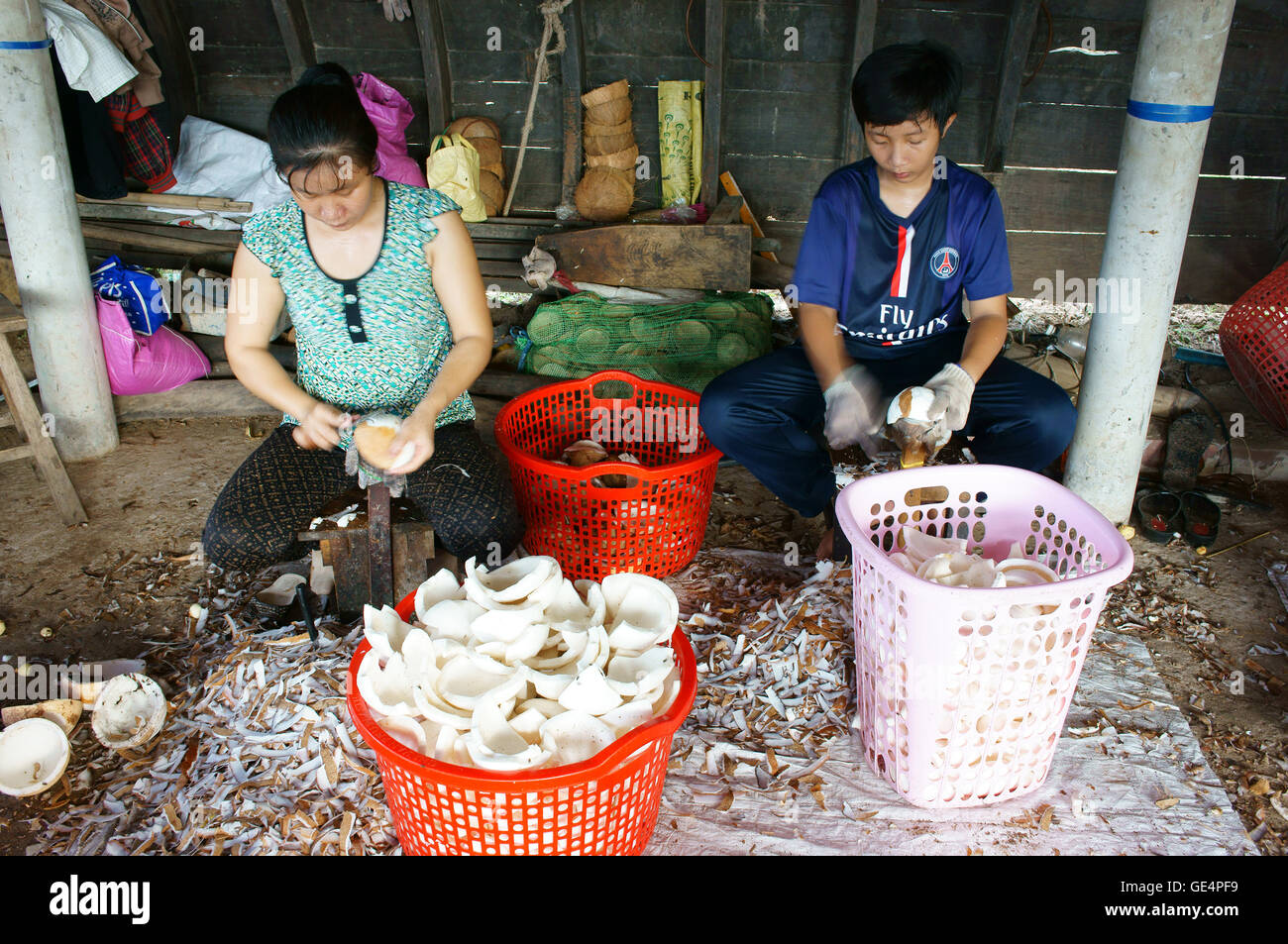 Vietnamese coconut industry hi-res stock photography and images - Alamy
