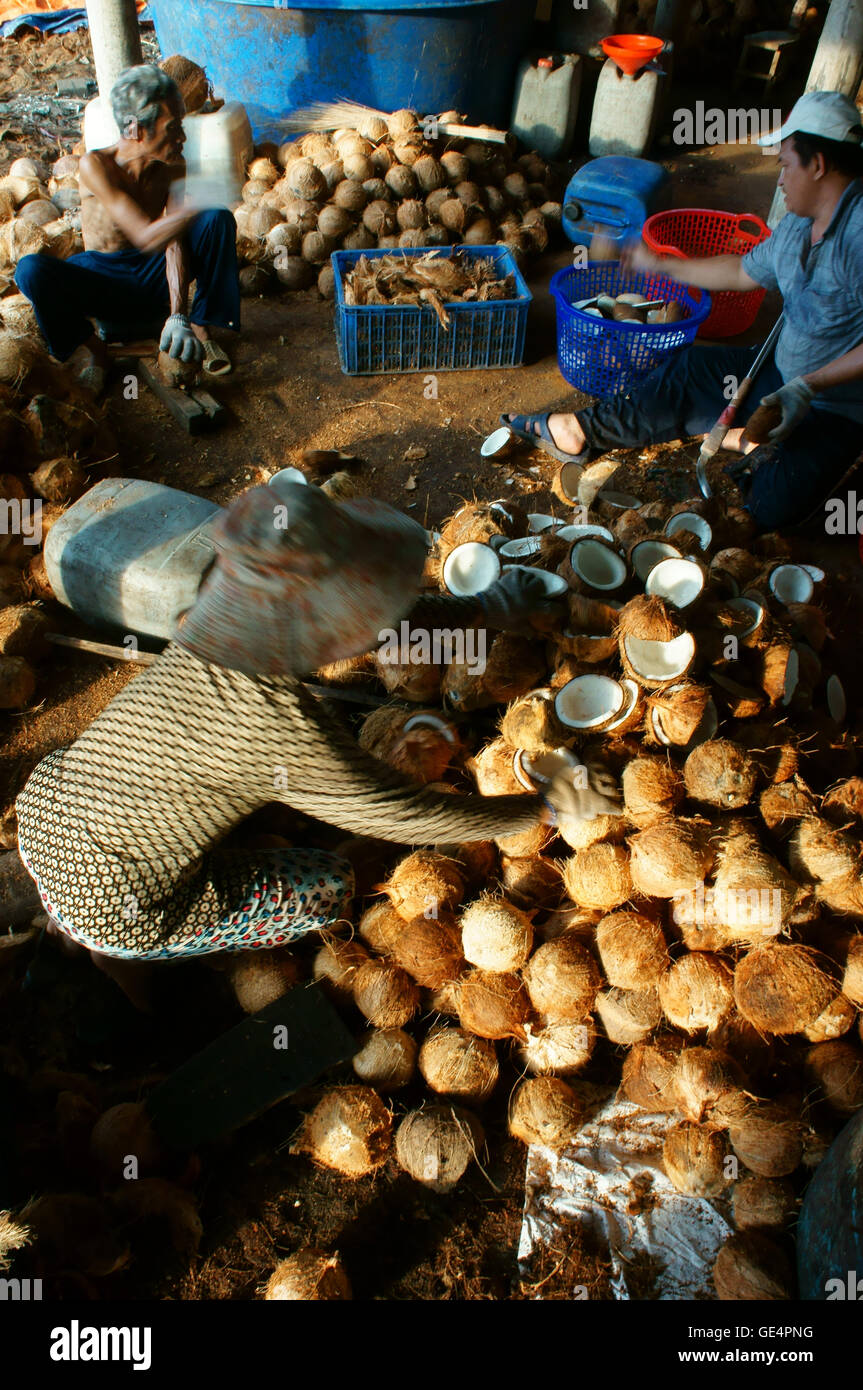 BEN TRE, VIET NAM, Asian worker working at coconut workshop with ...