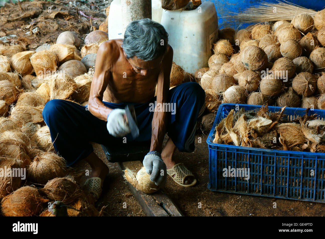 BEN TRE, VIET NAM, Asian worker working at coconut workshop with ...