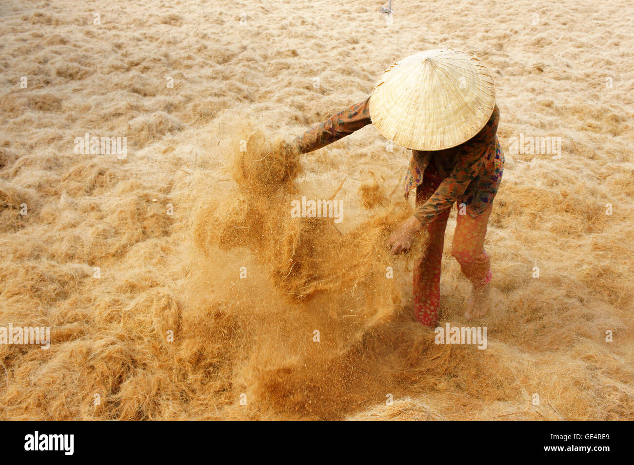 Group of Asian worker work hard at coconut fiber trade village Stock ...