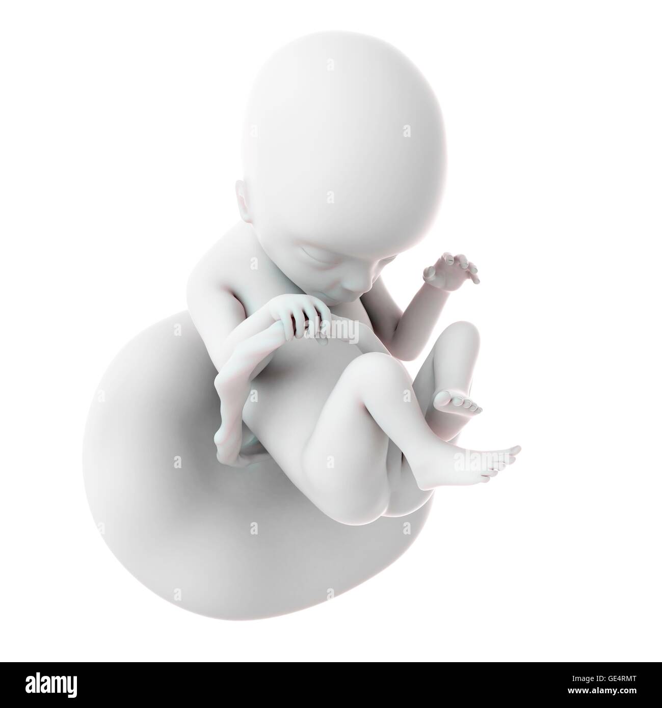 Her age 18 Cut Out Stock Images & Pictures - Alamy