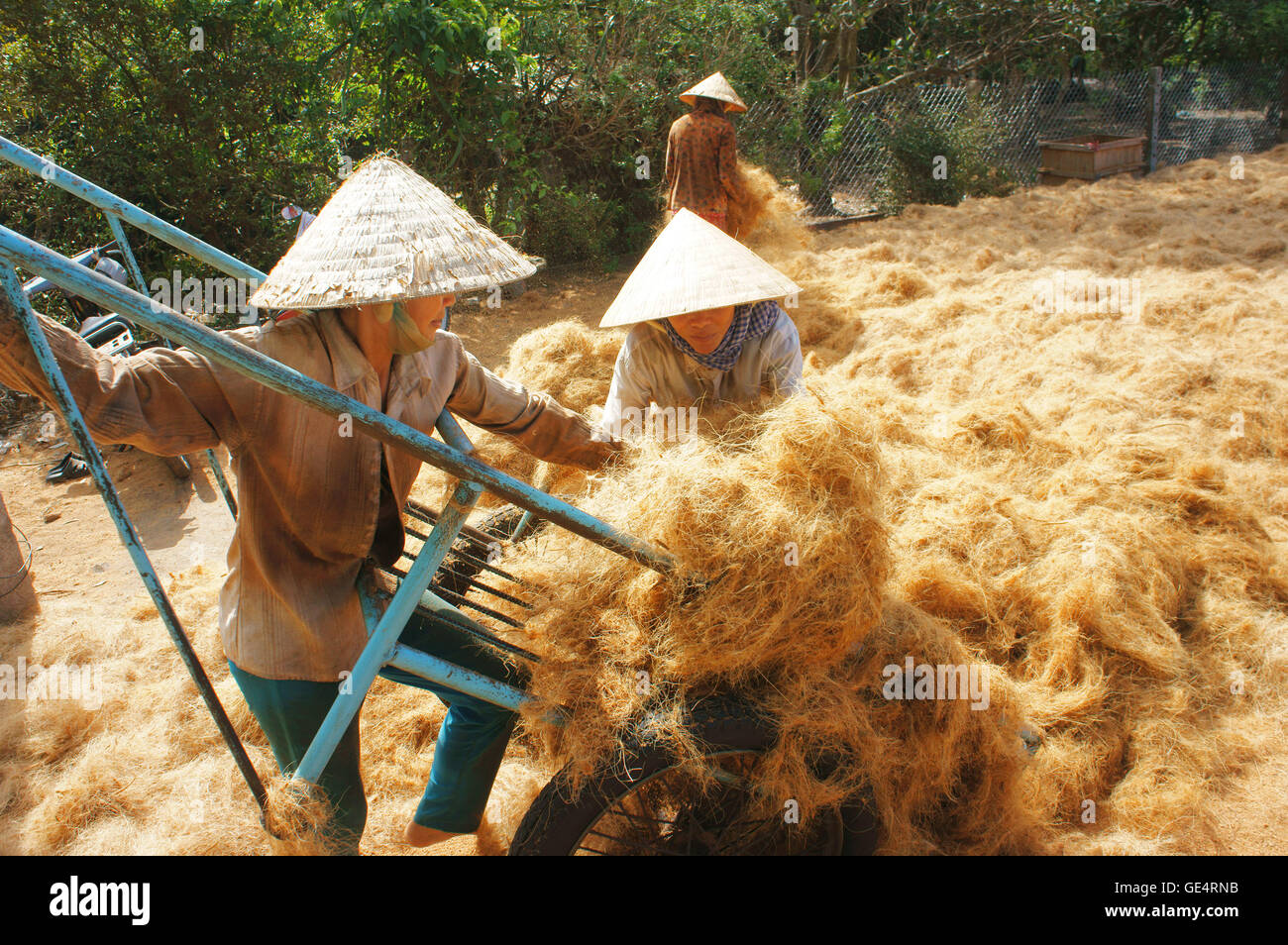Group of Asian worker work hard at coconut fiber trade village Stock ...