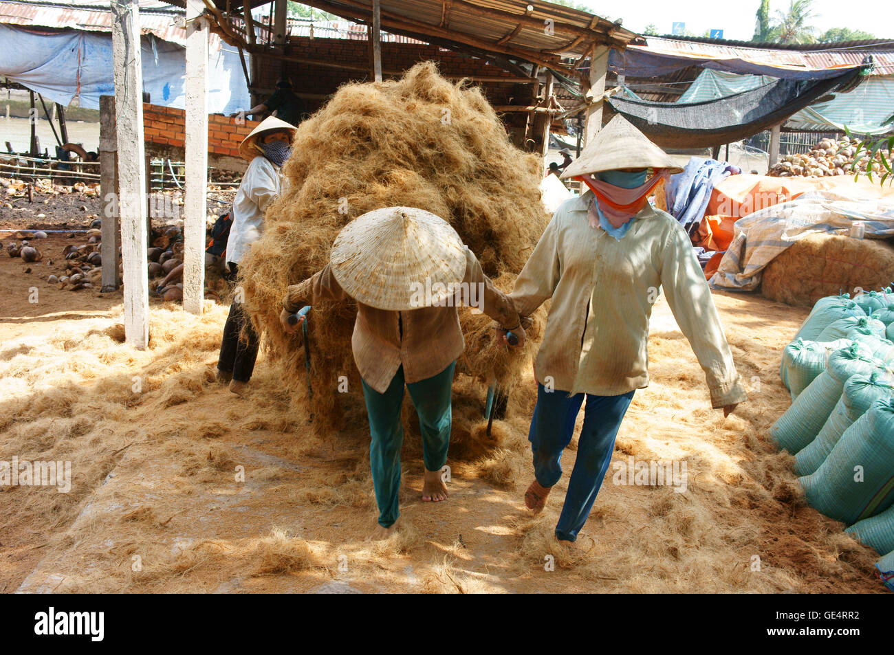 Group of Asian worker work hard at coconut fiber trade village Stock ...
