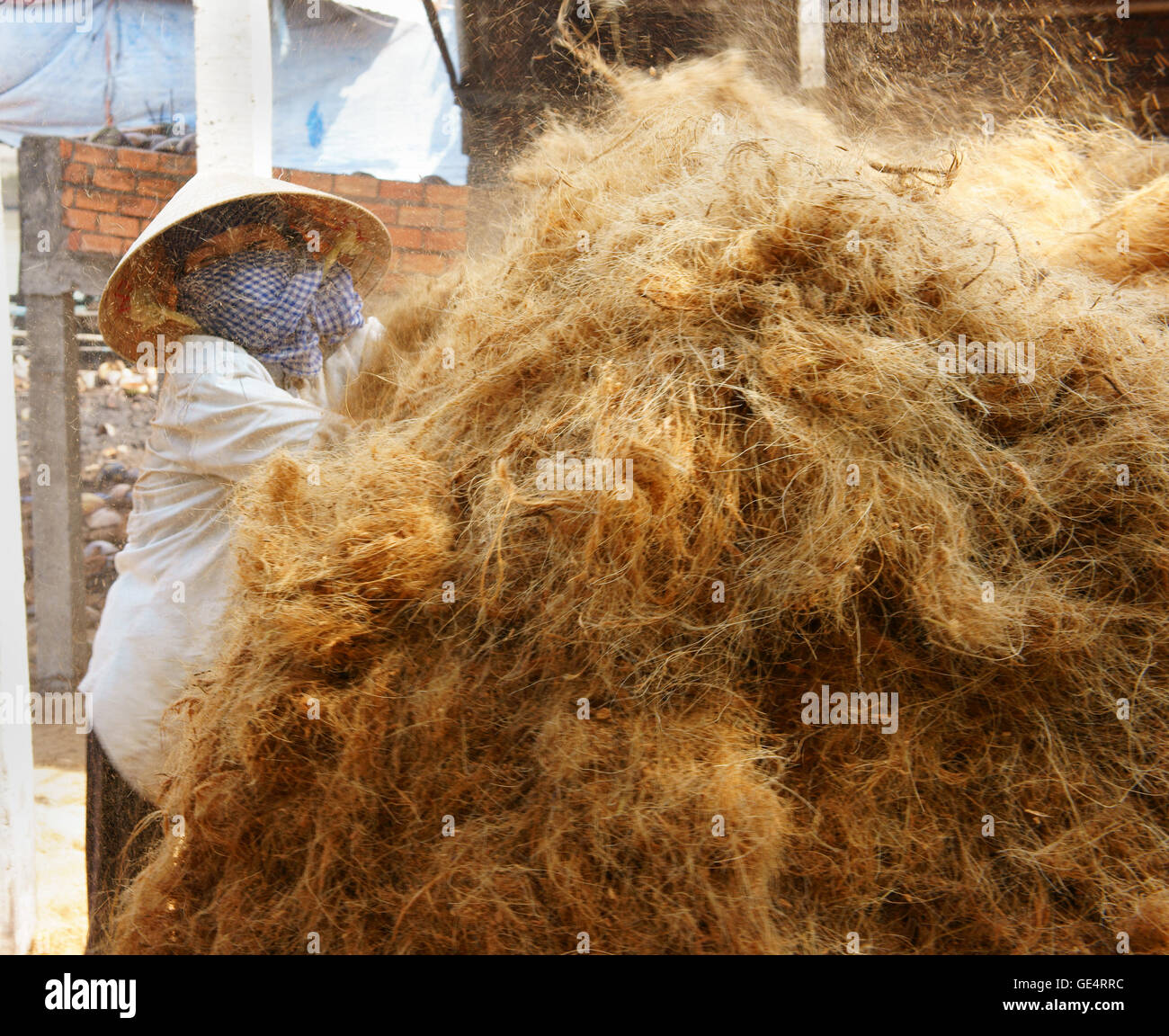 Group of Asian worker work hard at coconut fiber trade village Stock ...