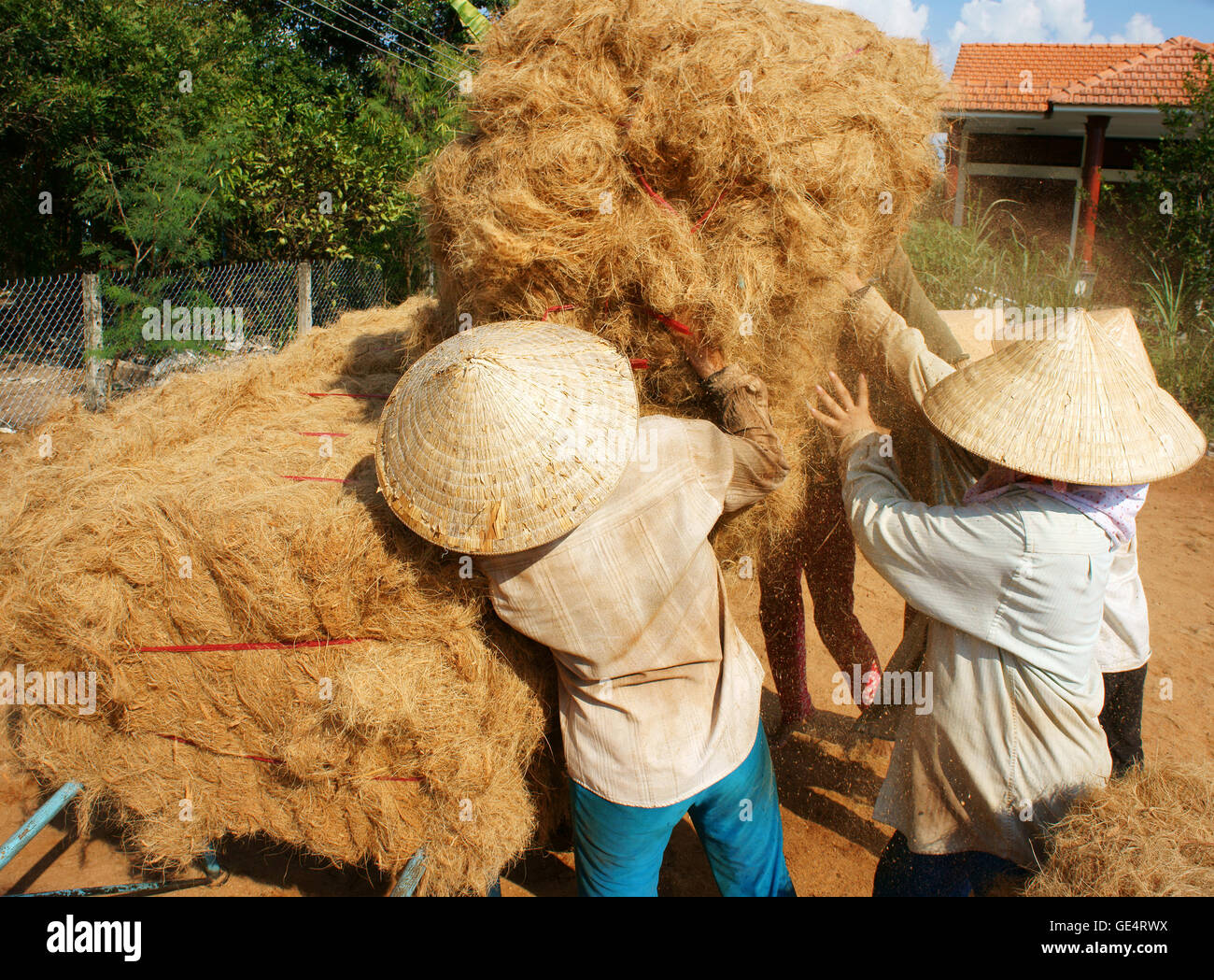 Group of Asian worker work hard at coconut fiber trade village Stock ...