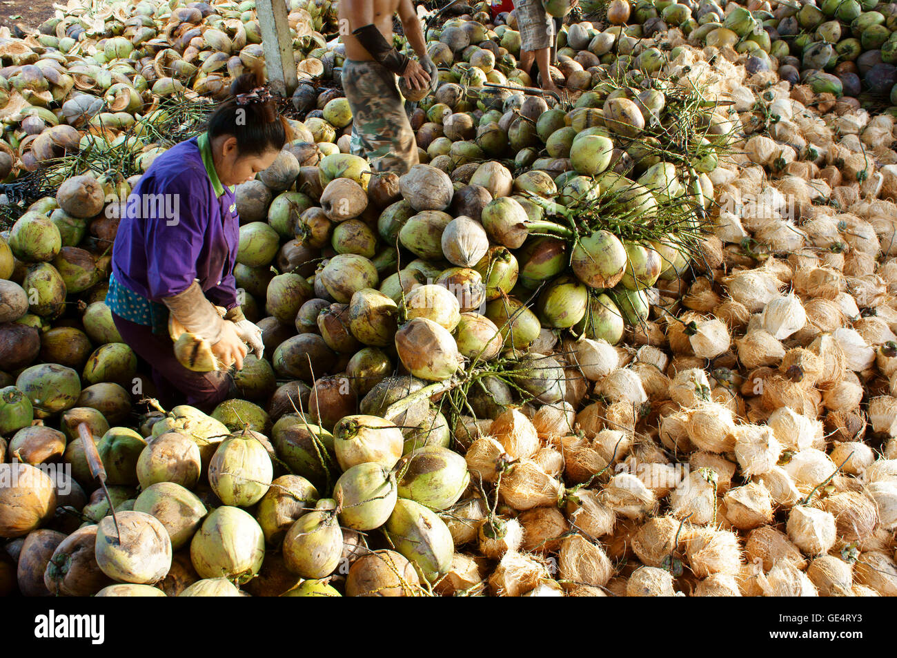 Asian manual worker female hi-res stock photography and images - Alamy