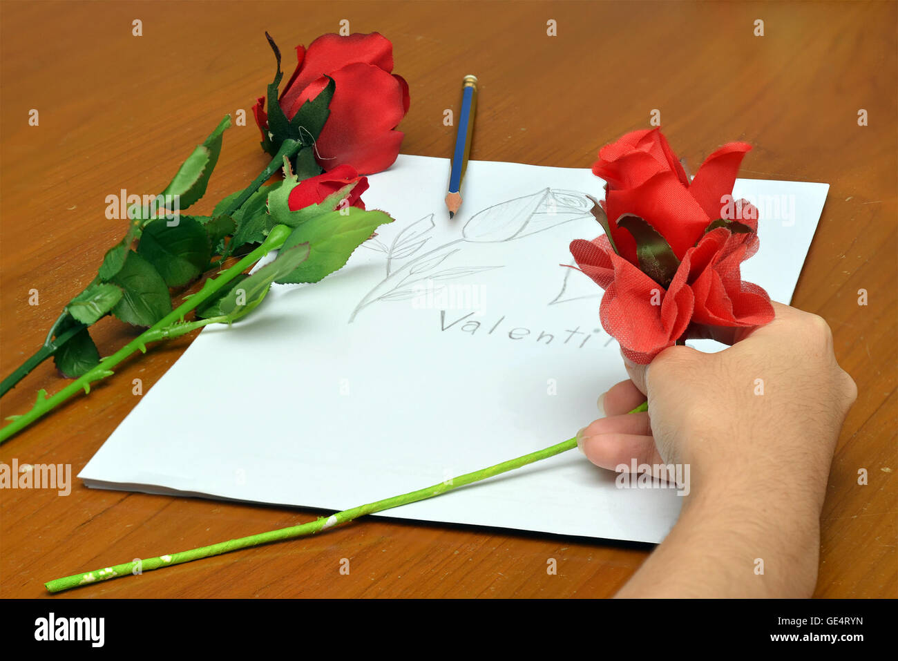 Red rose in a girl’s hand in preparation for Valentine’s day Stock ...