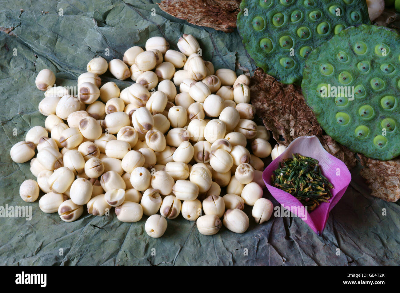 Collection of lotus, pink lotus flower, green seed, white lotus seed in ...
