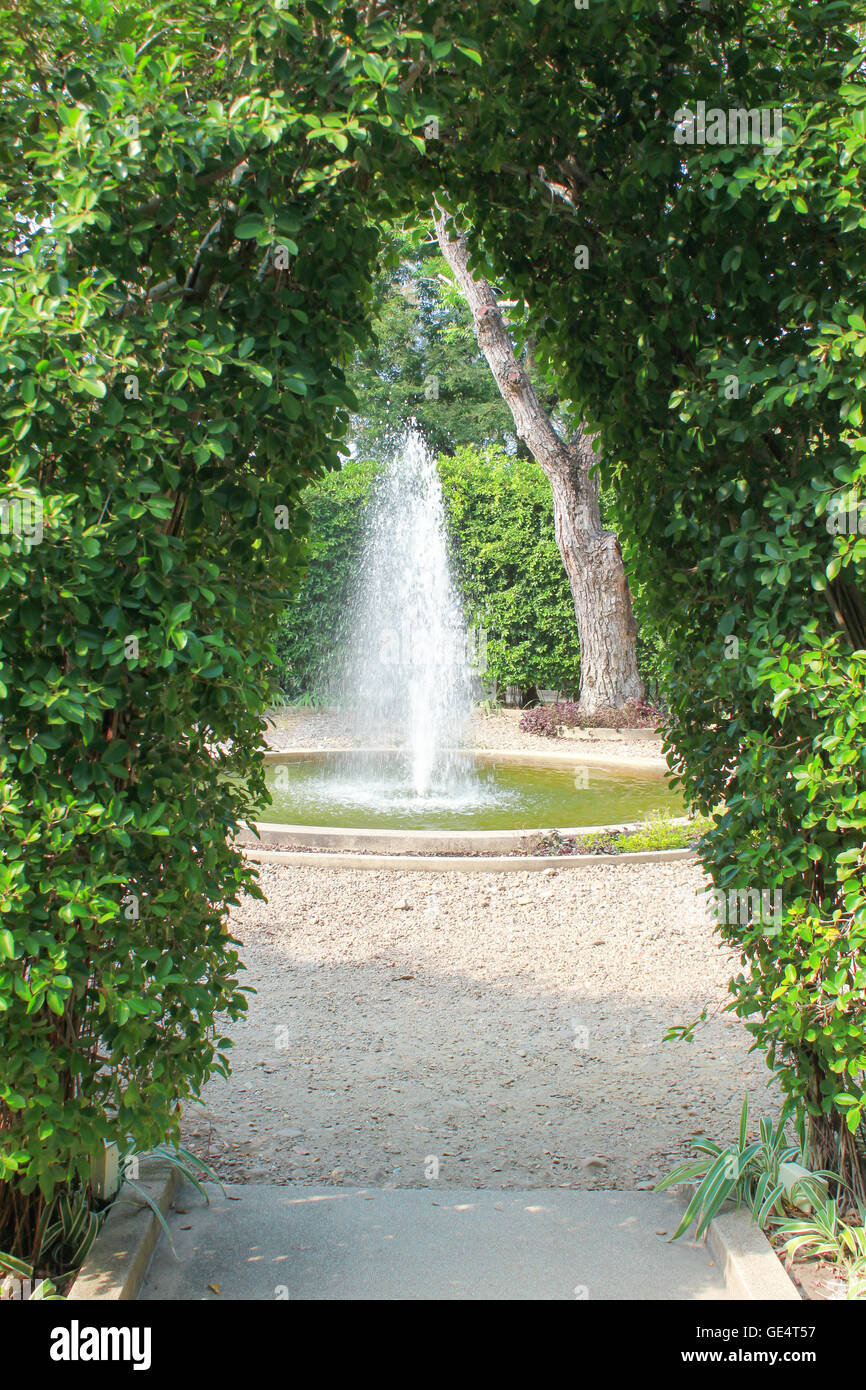 Park with fountain and banyan tree hi-res stock photography and images ...