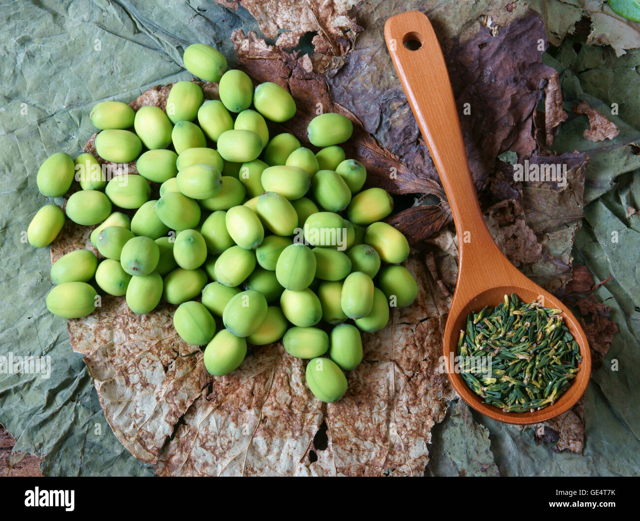 Collection of lotus, pink lotus flower, green seed, white lotus seed in ...