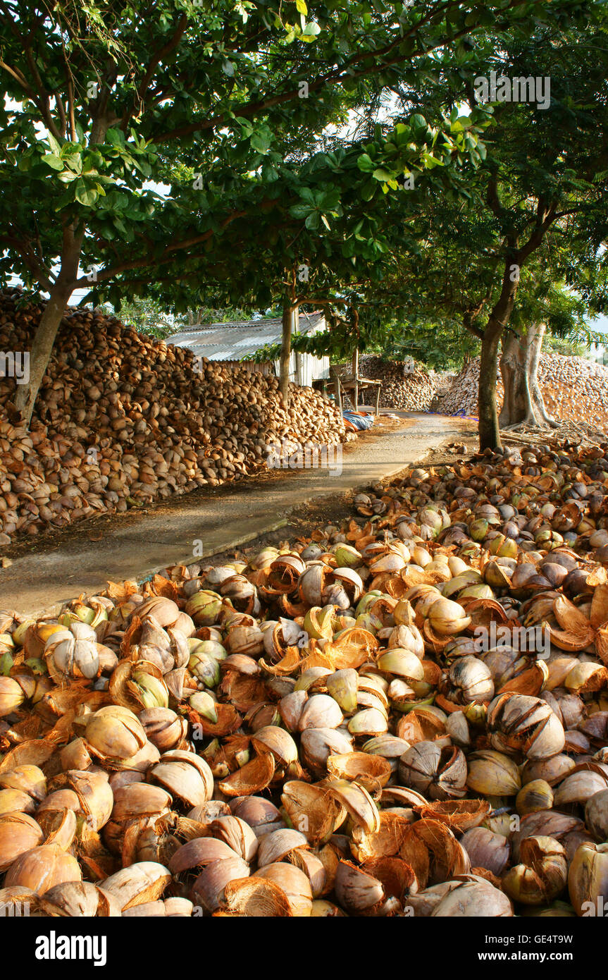 Coconut area hi-res stock photography and images - Alamy
