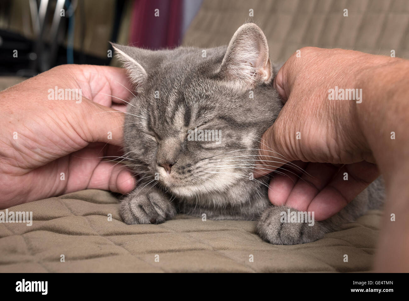 Master at arm hi-res stock photography and images - Alamy