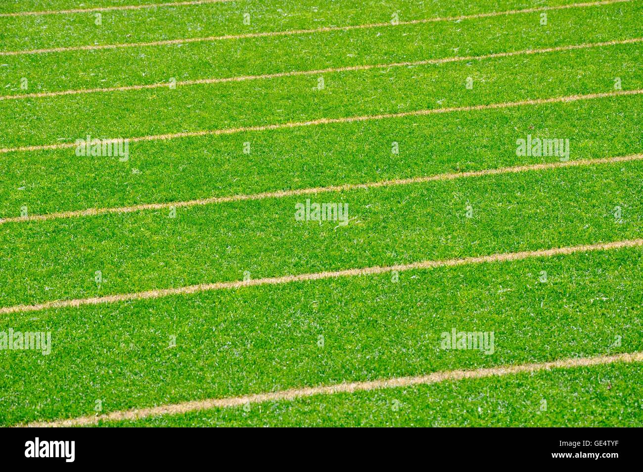 Intersecting Lines In Sports