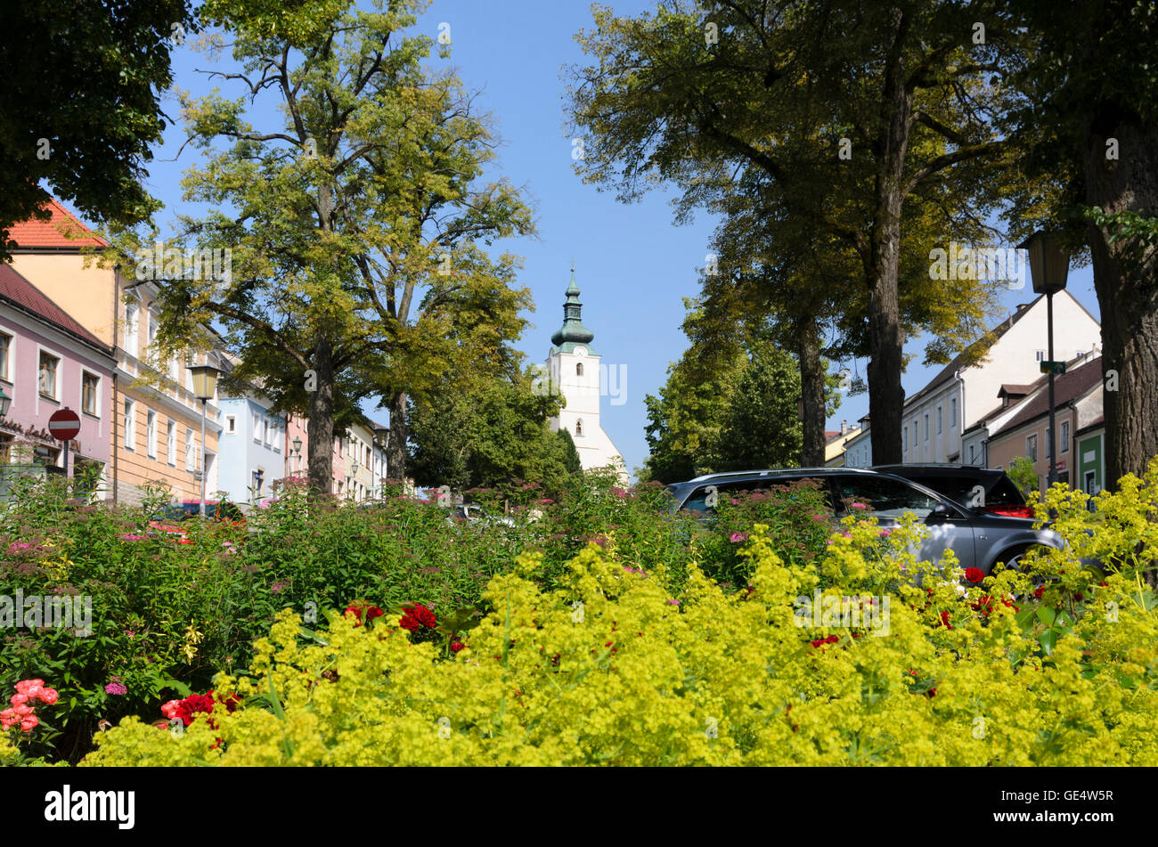 Litschau: St. Michael parish church on the town square, Austria ...