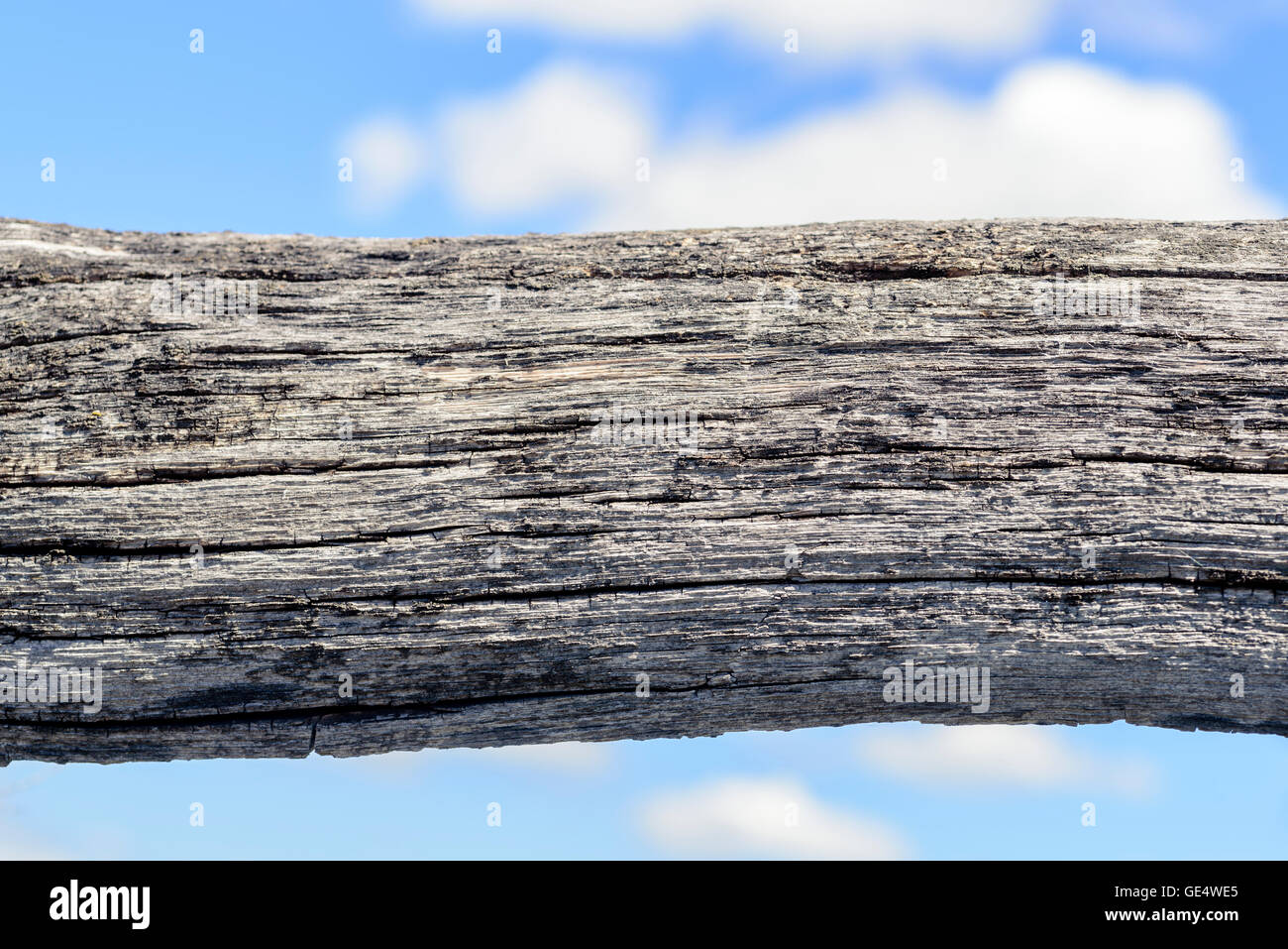Aged wooden log with worn colours set against a blue sky background ...