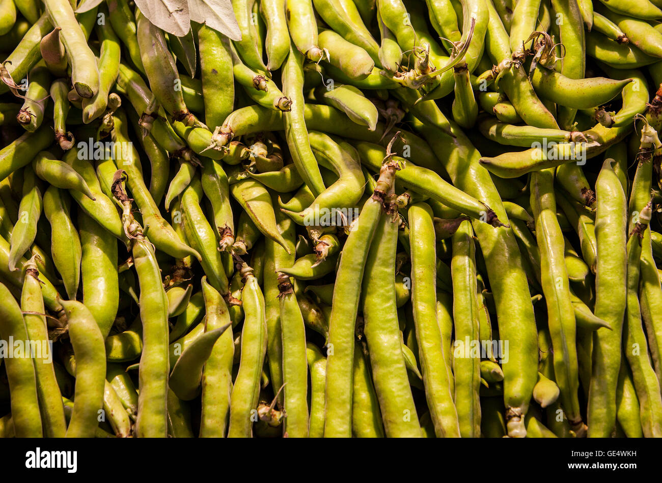 Bean capital of the world hi-res stock photography and images - Alamy