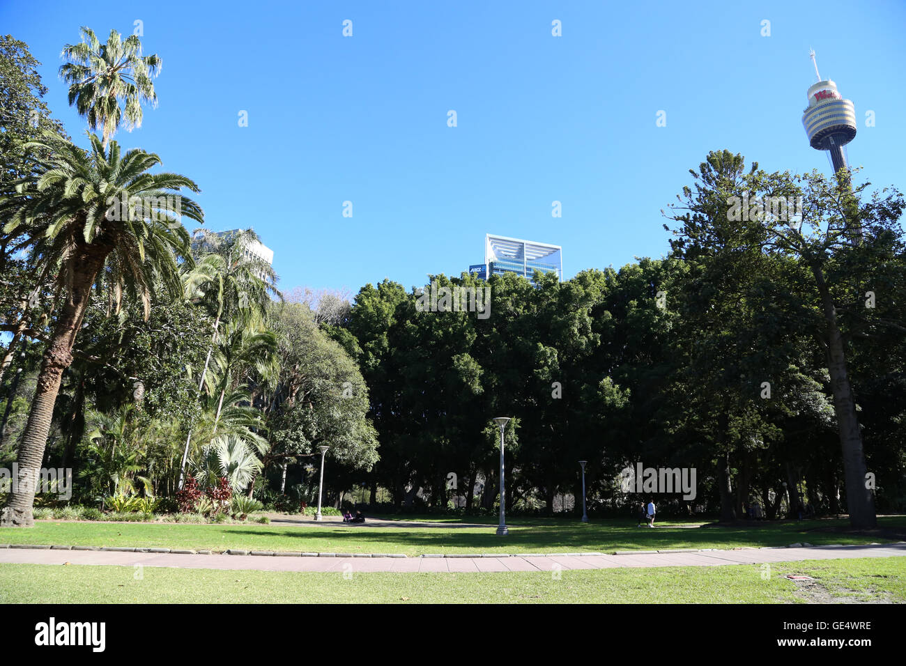 Sydney, Australia. 23 July 2016. The Domain park in Sydney viewed from ...