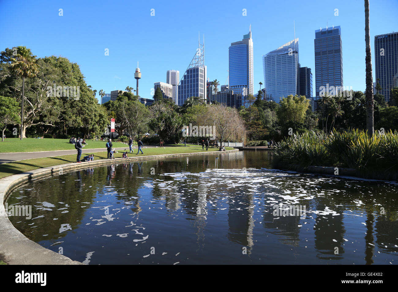 Royal botanic garden sydney hi-res stock photography and images - Alamy