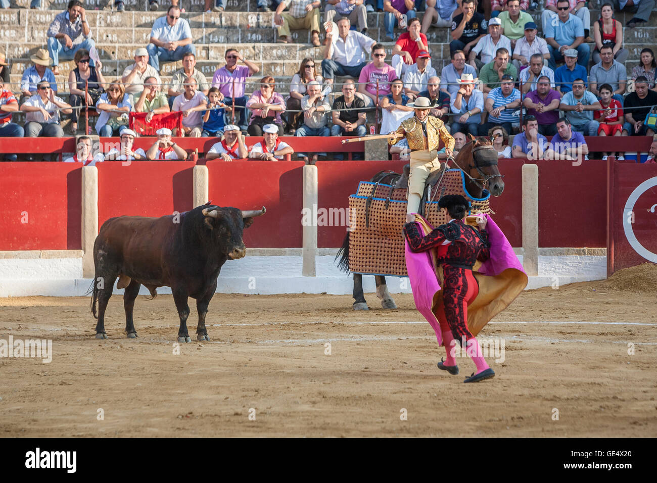 Picador bullfighter, lancer whose job it is to weaken bull's neck ...