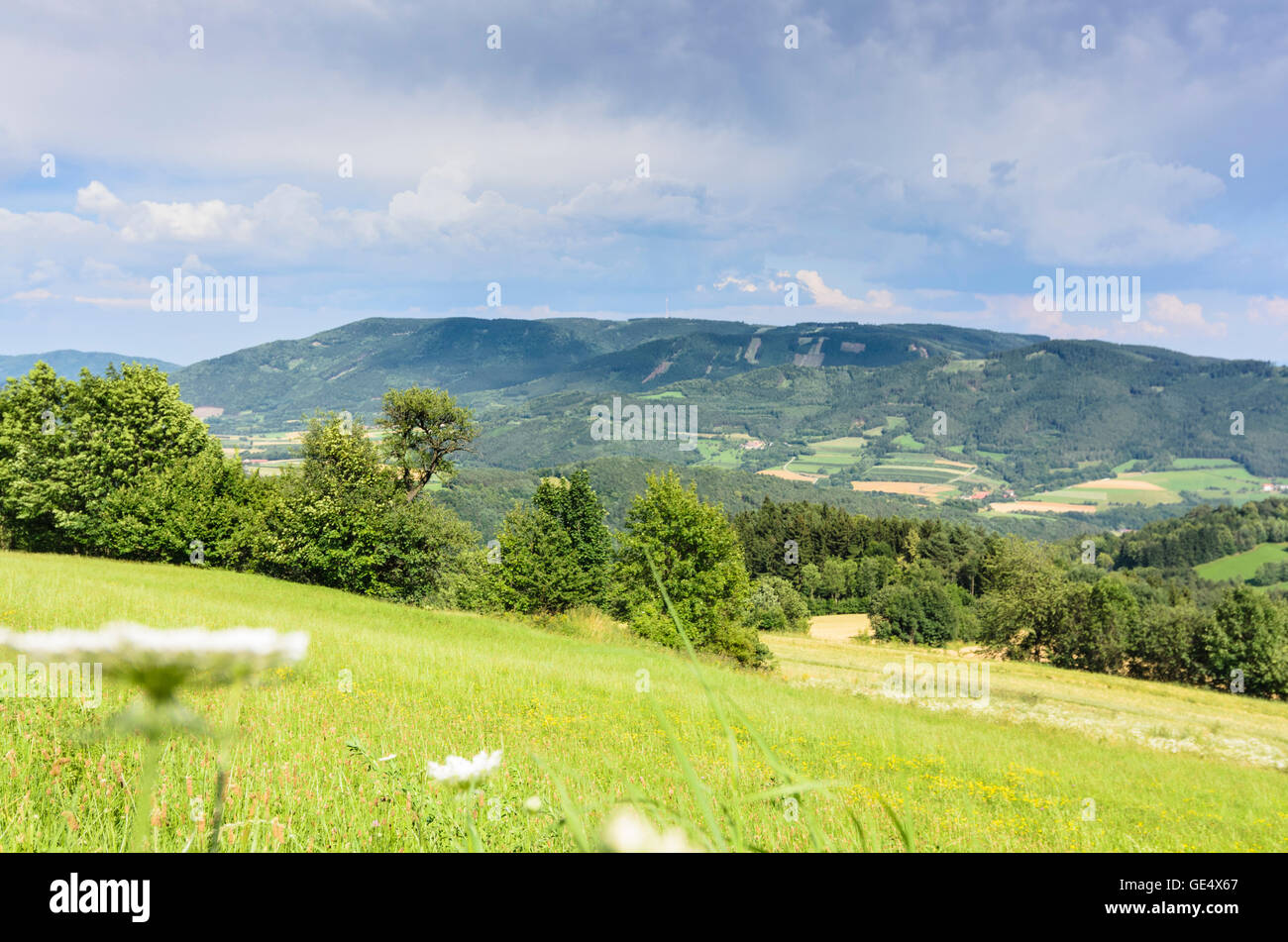 Maria Laach am Jauerling: View from the west via the valley ...