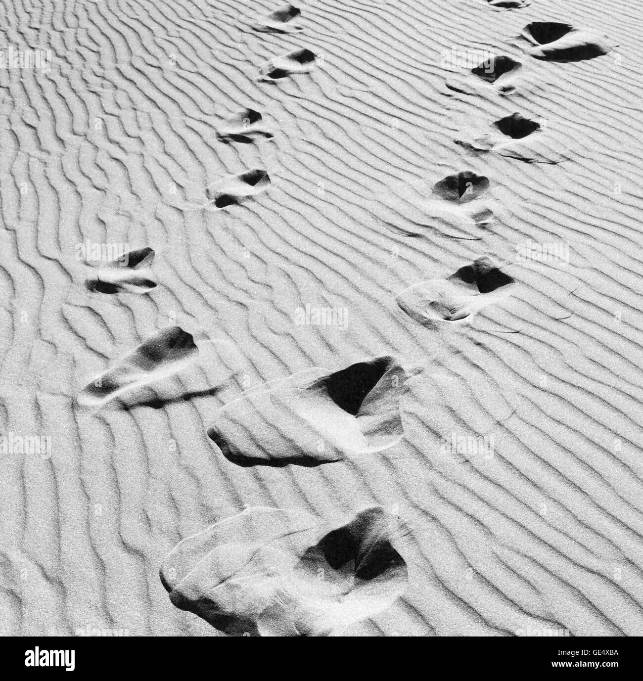 Oman wave Black and White Stock Photos & Images - Alamy