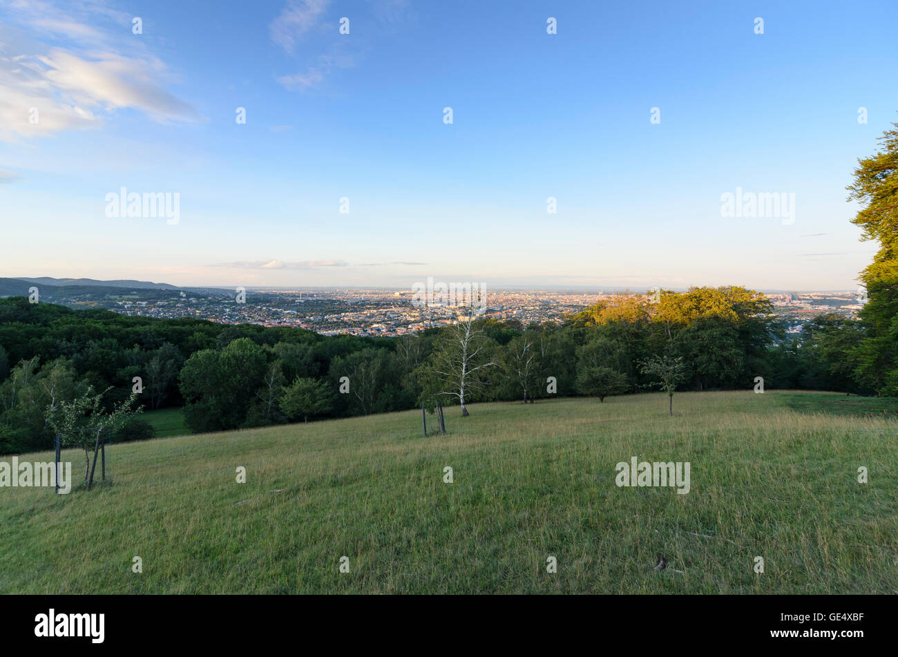 In the lainzer tiergarten overlooking the vienna woods hi-res stock ...