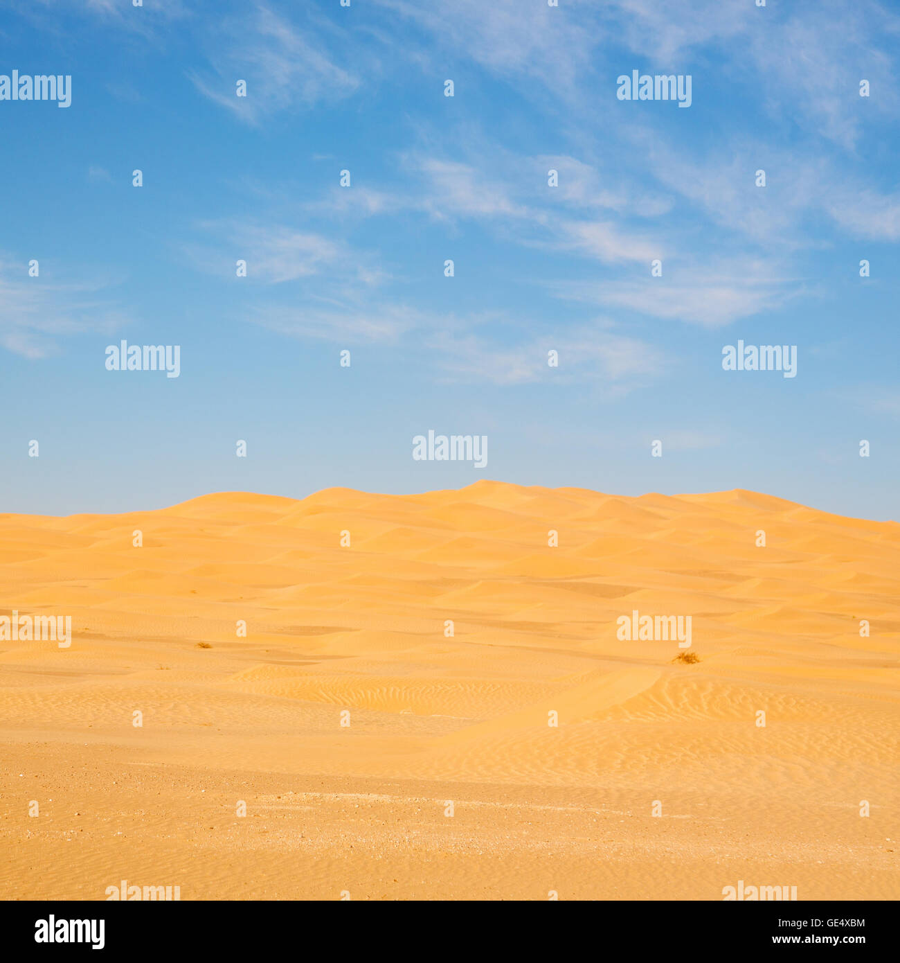 the empty quarter and outdoor sand dune in oman old desert rub al khali ...