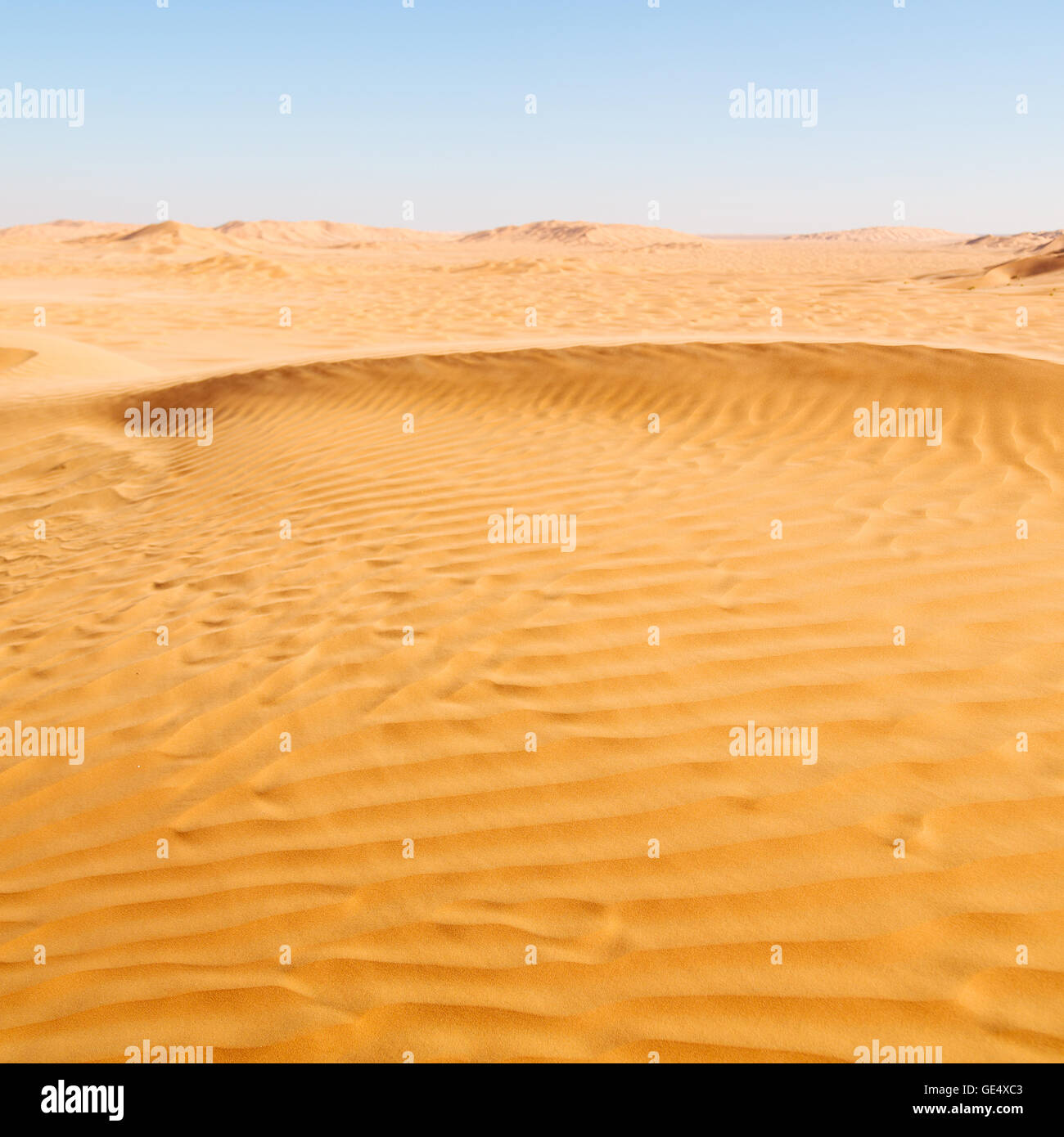 the empty quarter and outdoor sand dune in oman old desert rub al khali ...