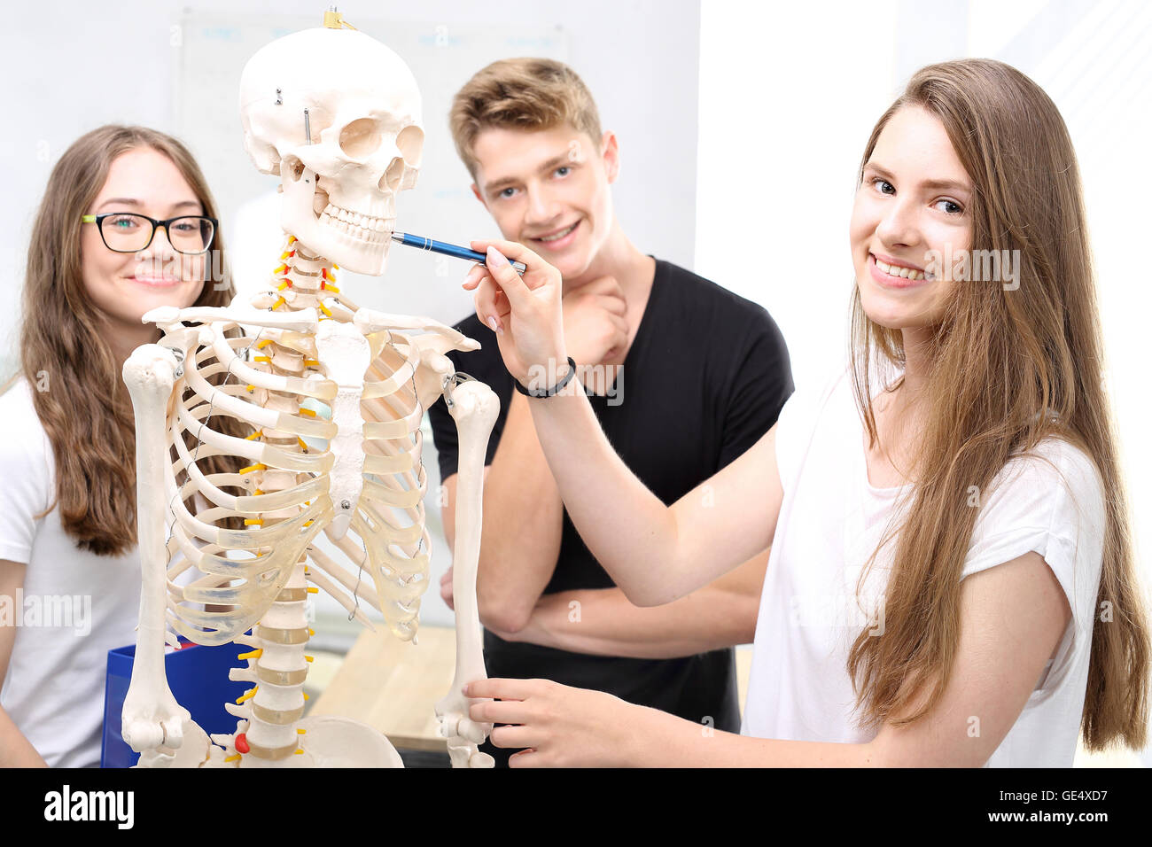 School, anatomy lesson, students watch a model skeleton Stock Photo - Alamy