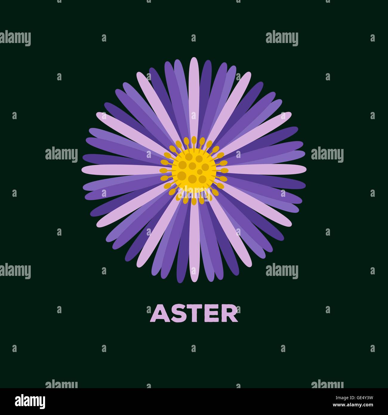 Aster flower logo vector Stock Vector Image & Art - Alamy