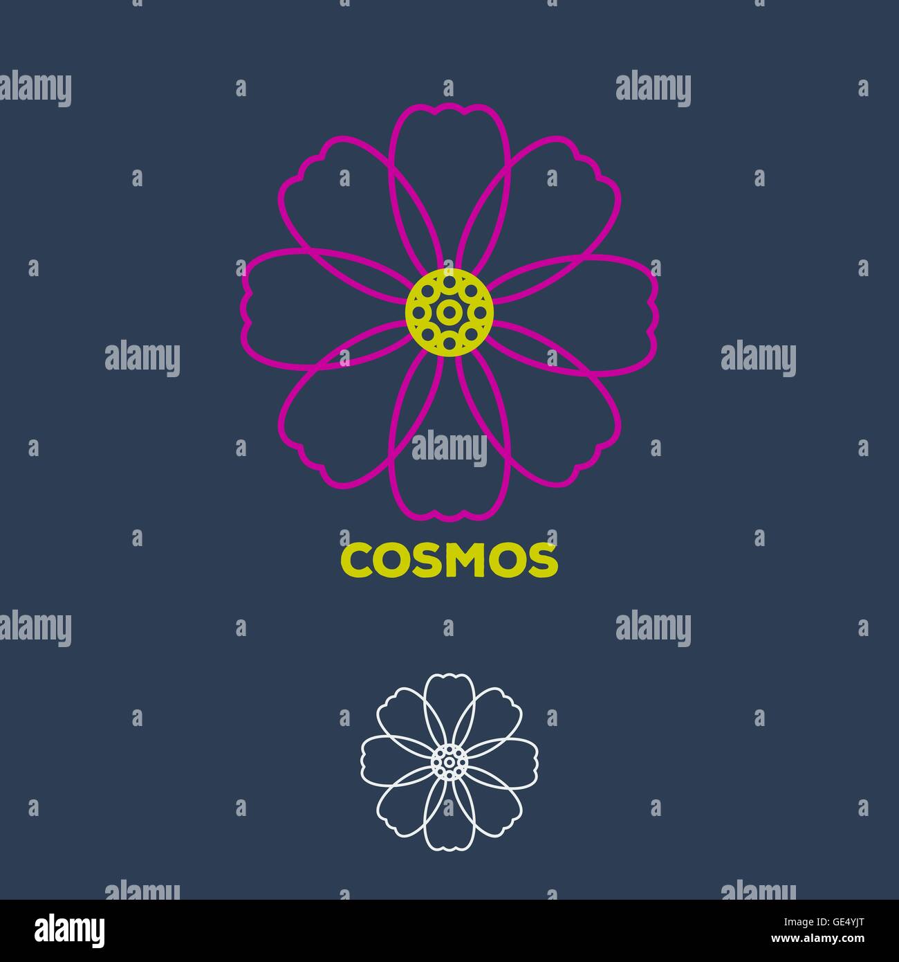 Purple white cosmos flower Stock Vector Images - Alamy