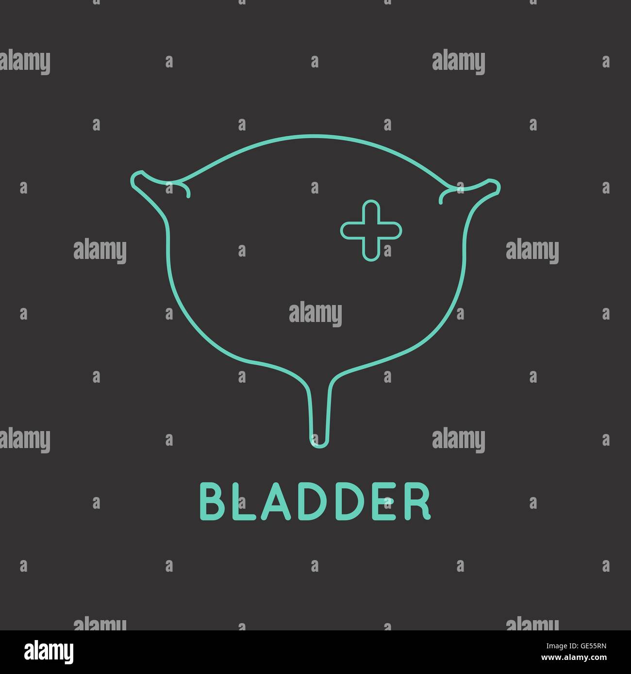 Bladder medical logo vector Stock Vector Image & Art - Alamy