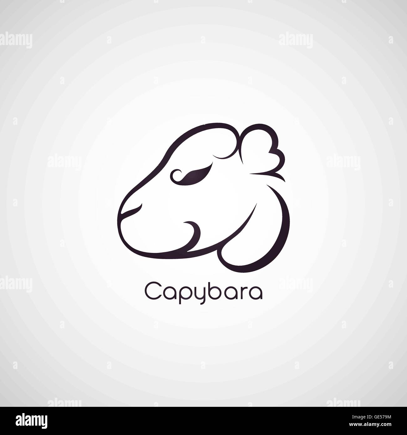 Capybara vector hi-res stock photography and images - Alamy