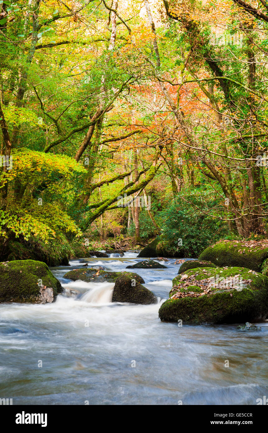The River Teign in Whiddon Wood. Dartmoor National Park, Devon, England ...