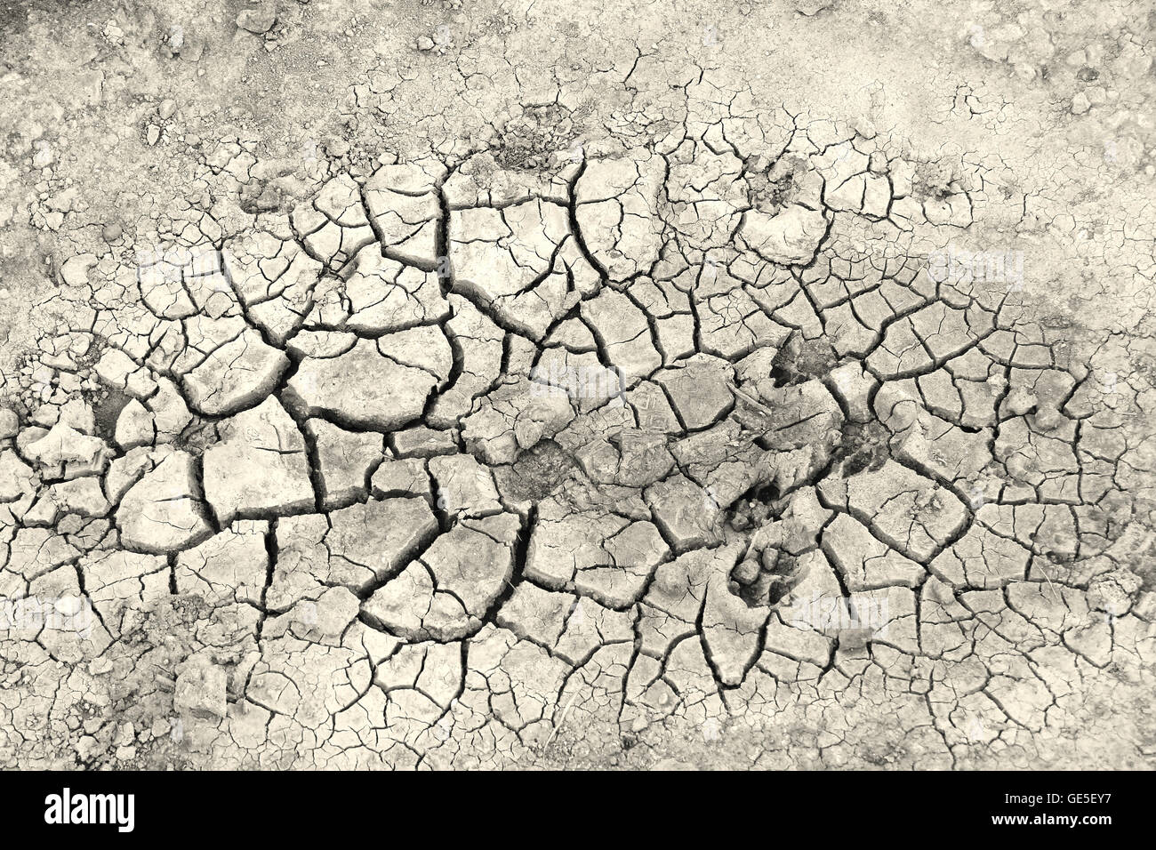 The sun beat down mercilessly on the dry earth Stock Photo - Alamy