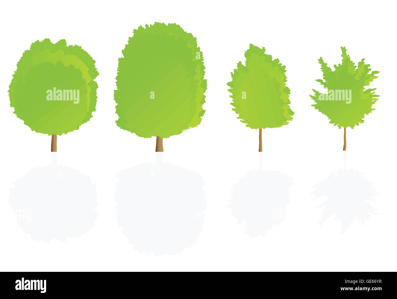 Trees detailed illustration collection background vector Stock Vector ...