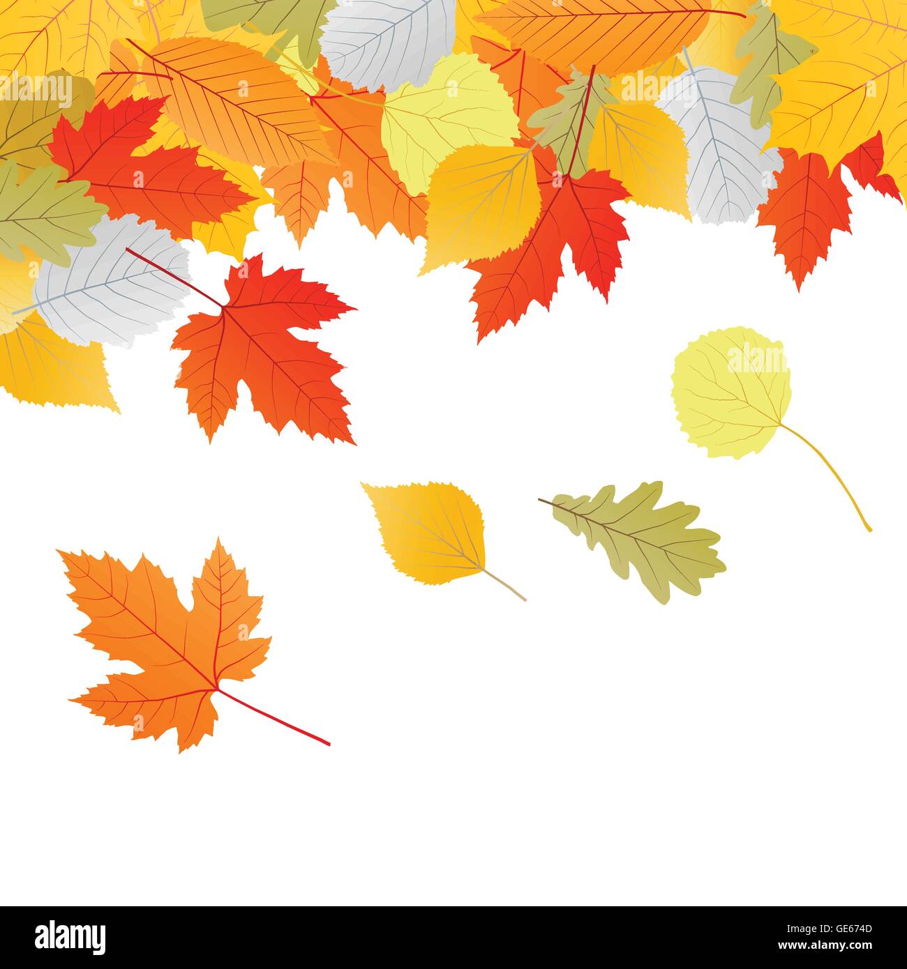 Autumn leaves background vector concept Stock Vector Image & Art - Alamy