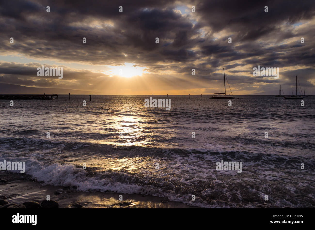 Hawaii forest sunset hi-res stock photography and images - Alamy