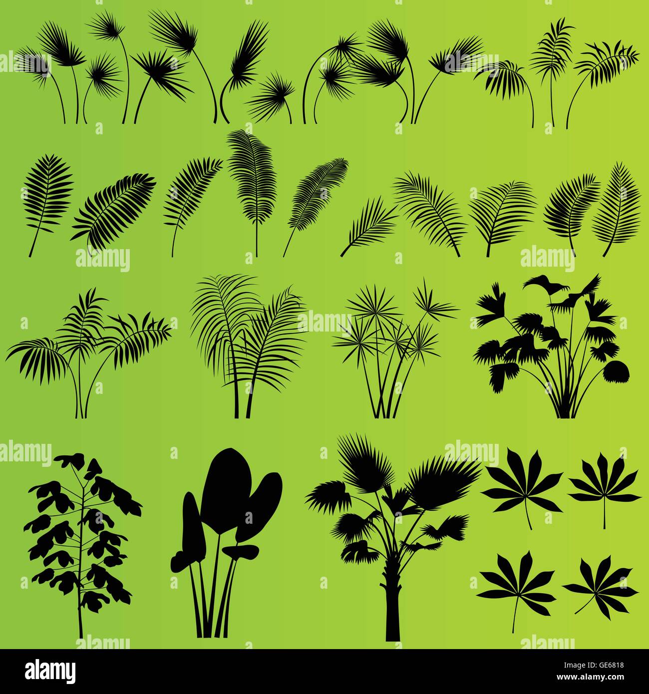 Tropical exotic jungle grass and plants detailed silhouettes landscape ...